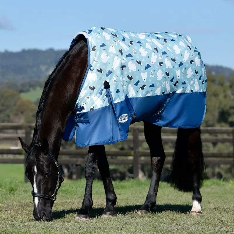WeatherBeeta ComFiTec Essential 220g Standard Neck Rug - Winter