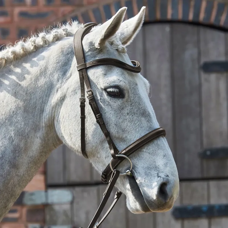 GFS Simplicity Anatomical Bridle - Brown