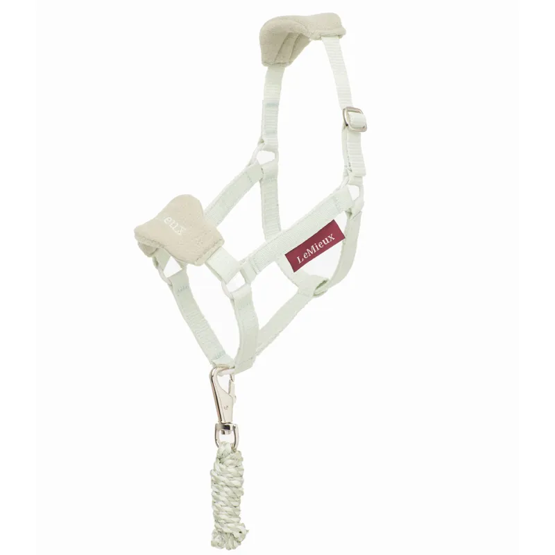 LeMieux Hobby Horse Vogue Headcollar - Fern