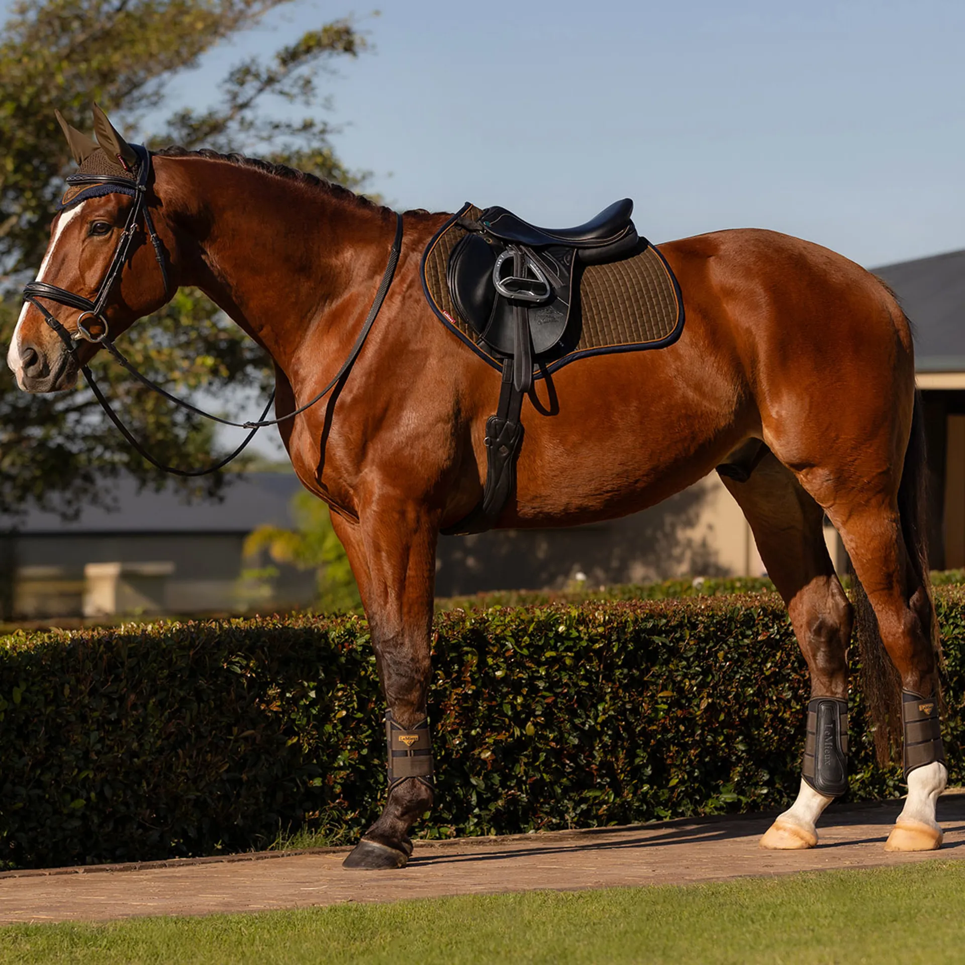 LeMieux Classique Suede Close Contact Square - Alpine