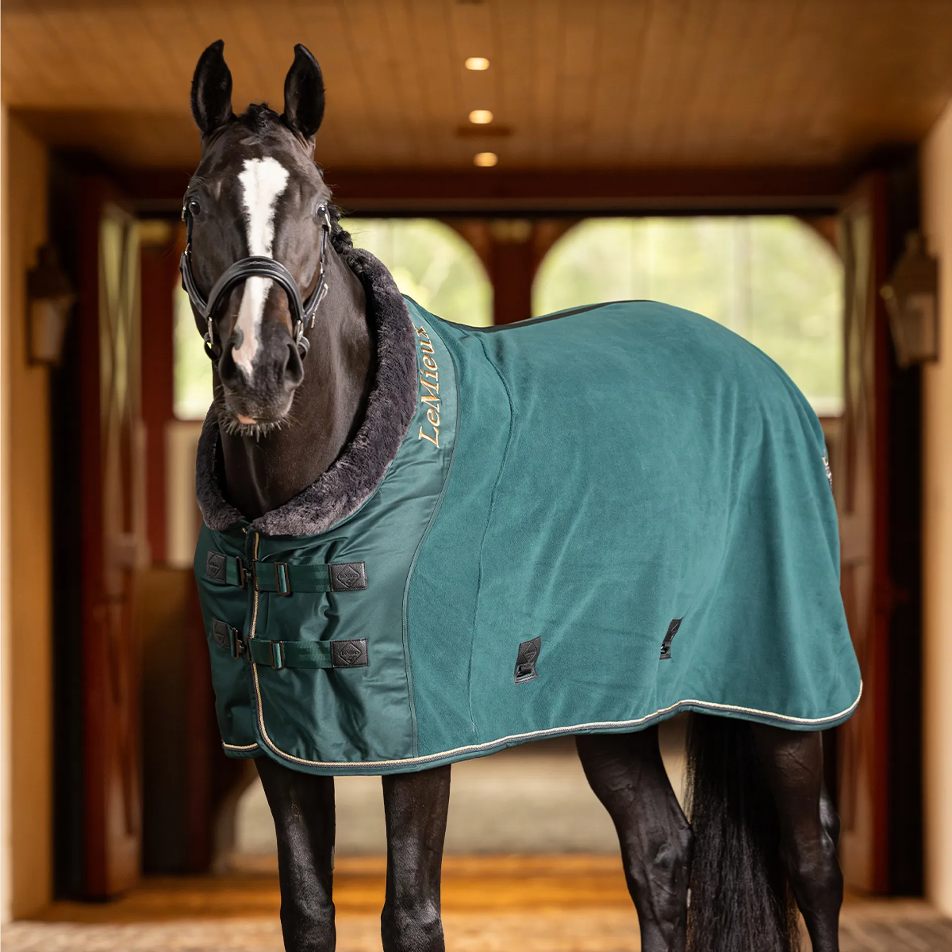 LeMieux Luxe Fleece Rug - Spruce