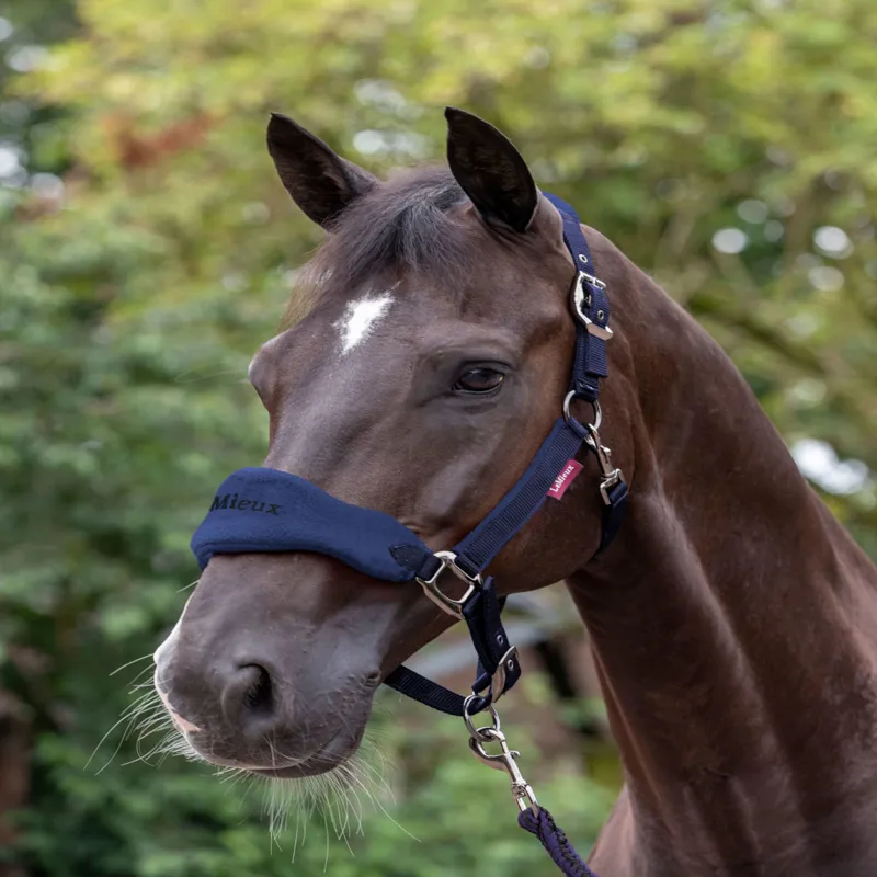 LeMieux Vogue Headcollar and Lead Rope Set - Ink Blue