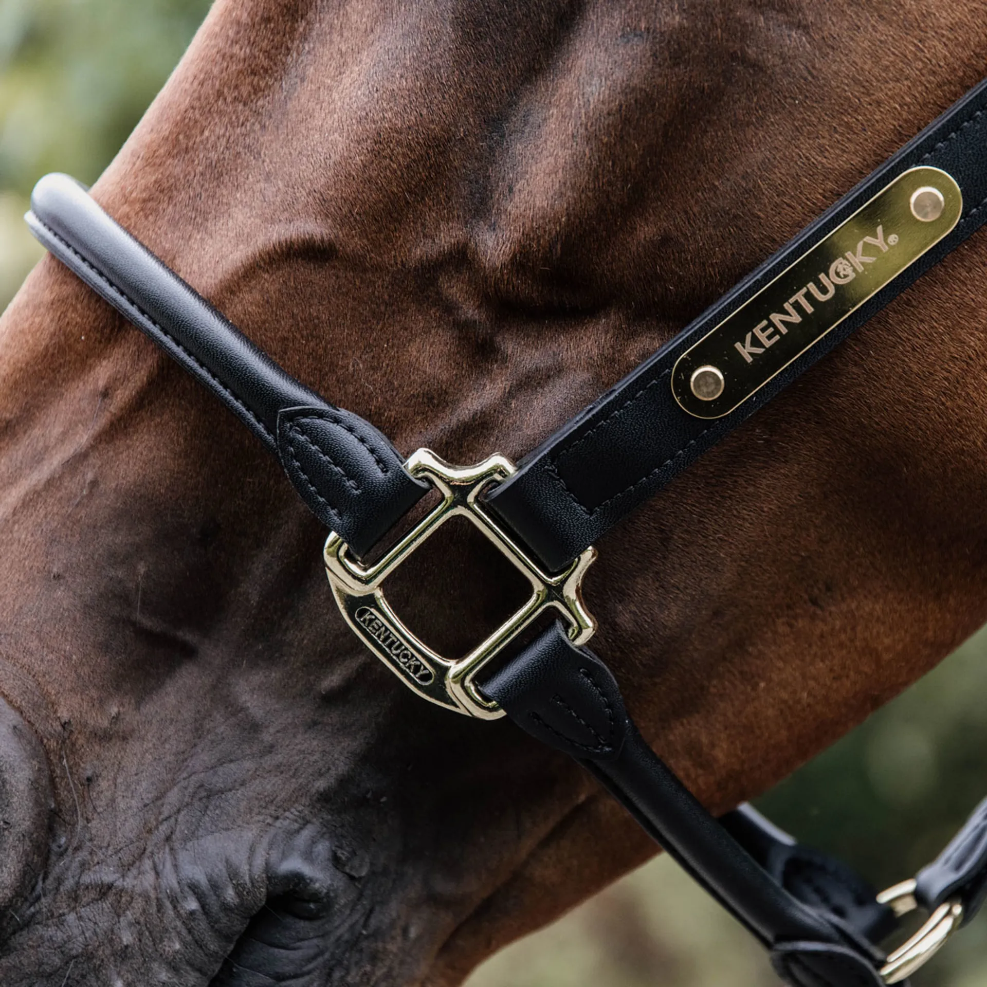 Kentucky Anatomic Artificial Leather Headcollar - Black