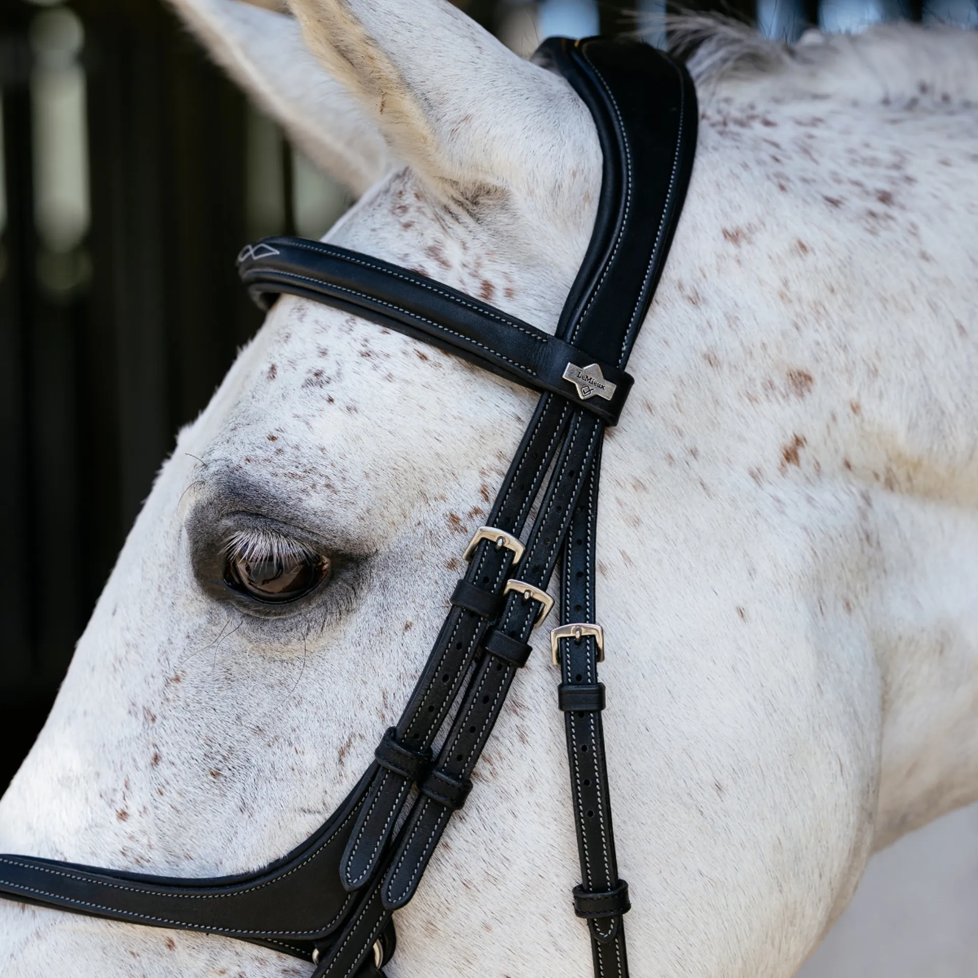LeMieux Kudos Work Grackle Bridle - Black/Silver