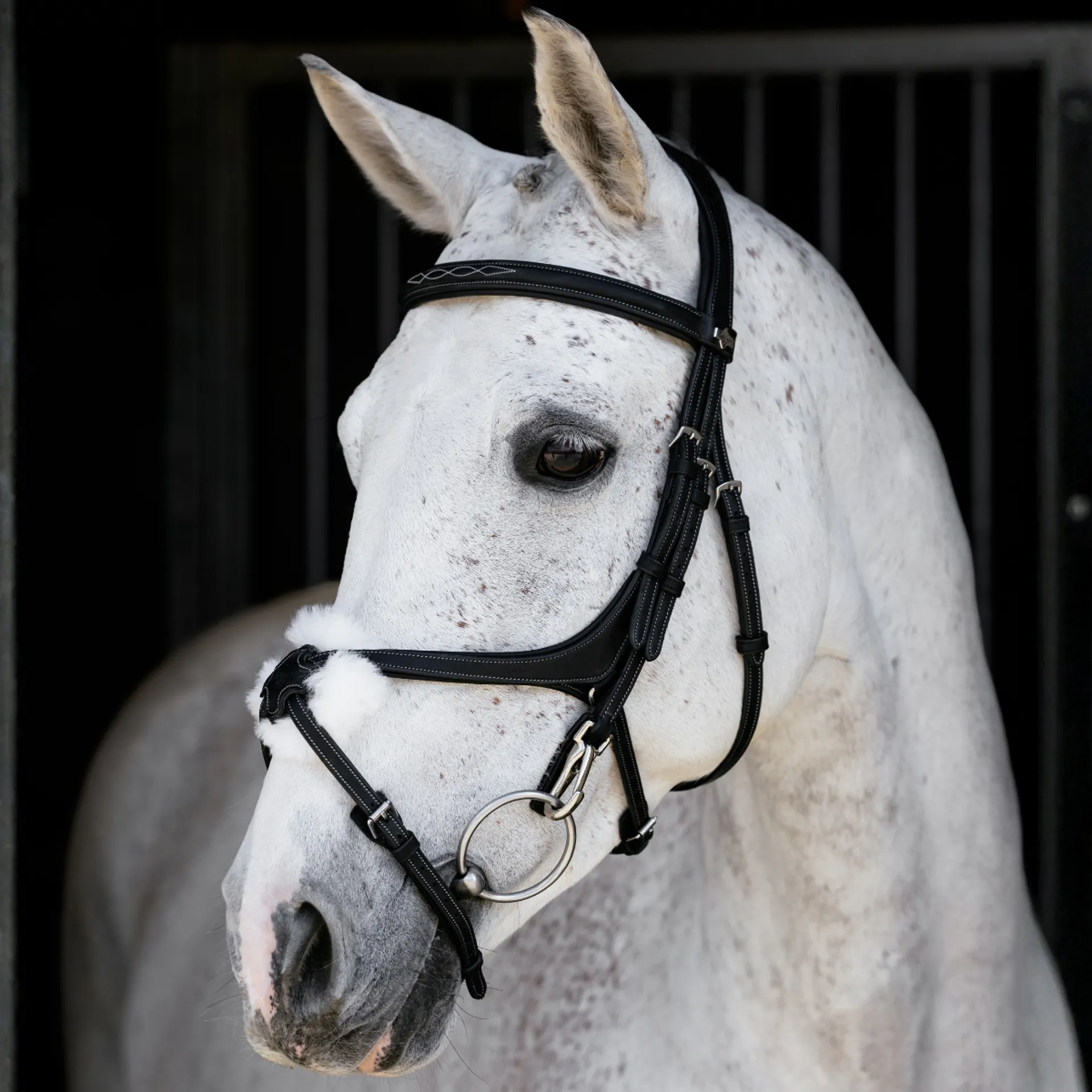 LeMieux Kudos Work Grackle Bridle - Black/Silver