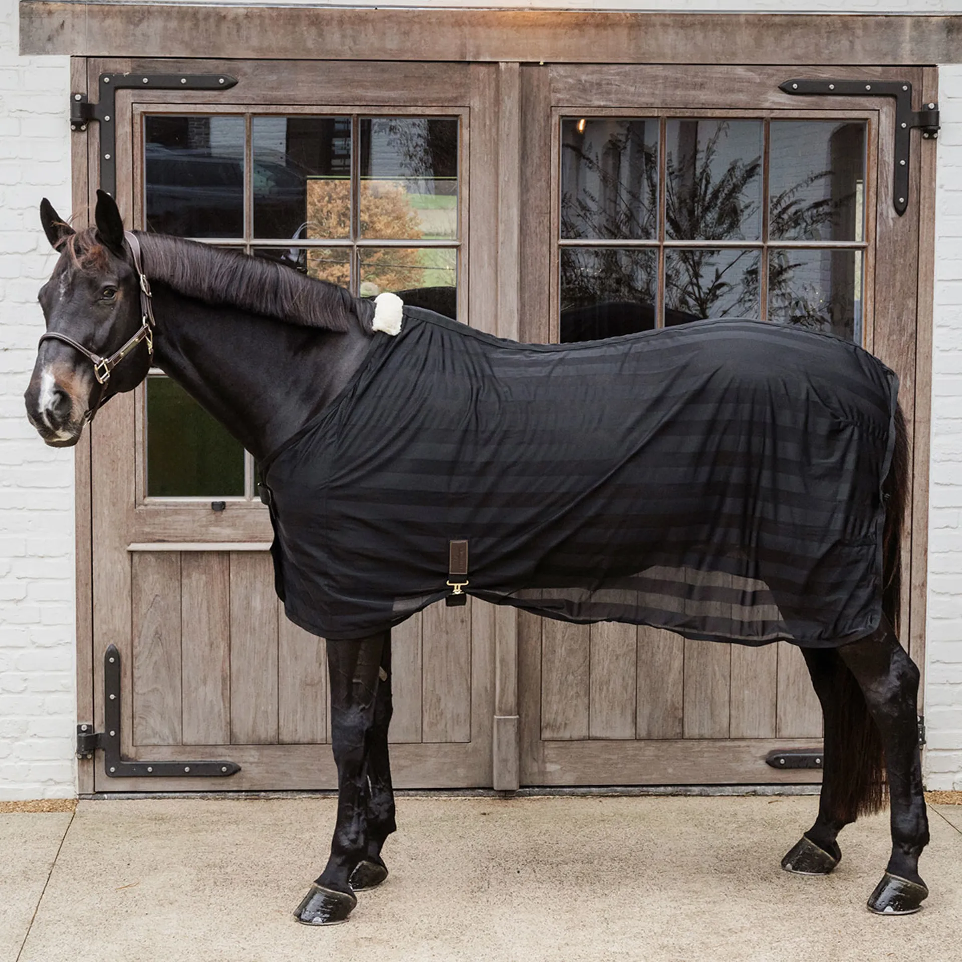 Kentucky Light Striped Mesh Fly Sheet - Black