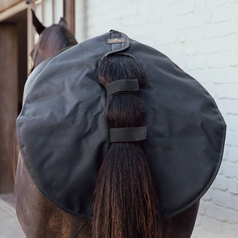 Kentucky Quarter Guard - Black