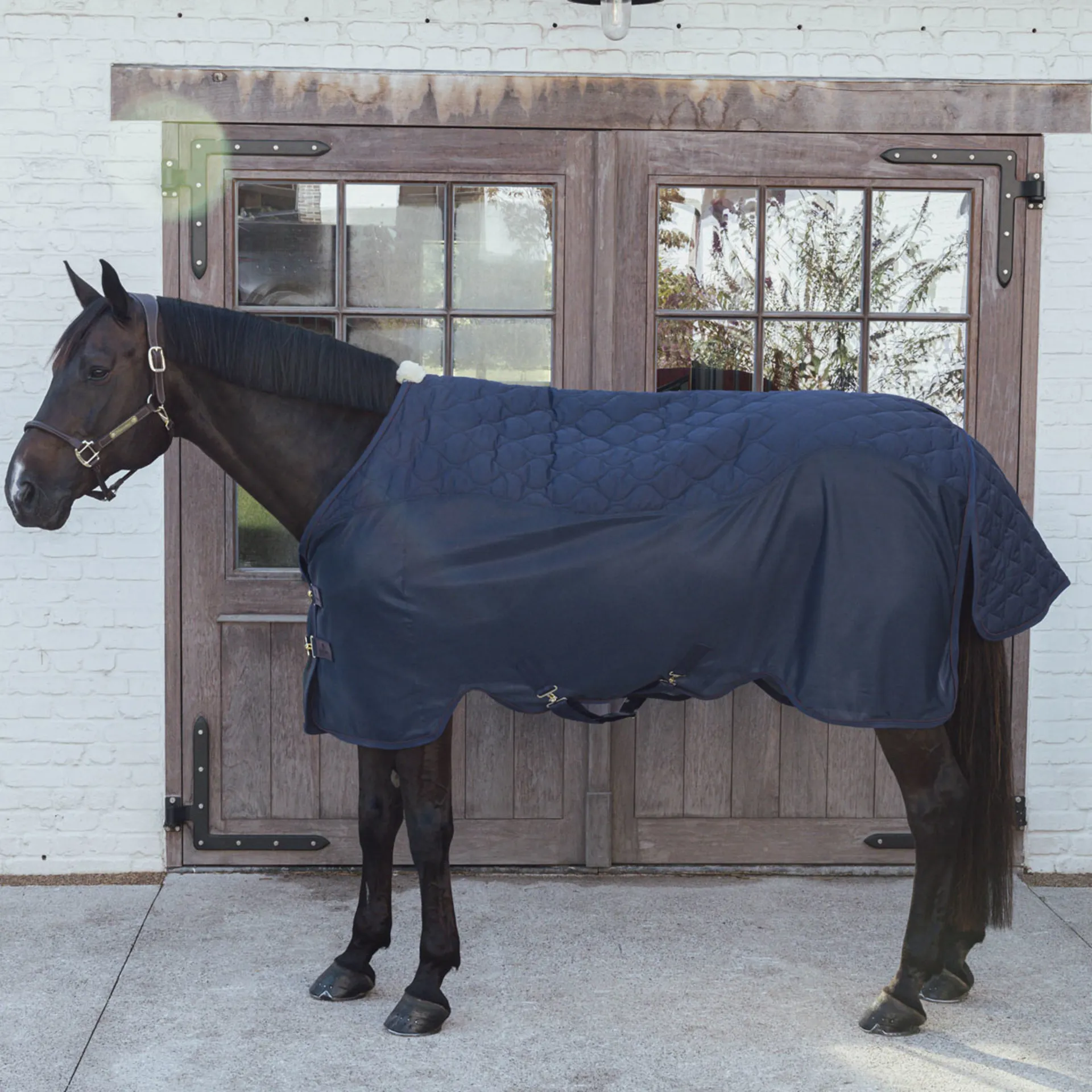 Kentucky Cooler Combo Rug - Navy