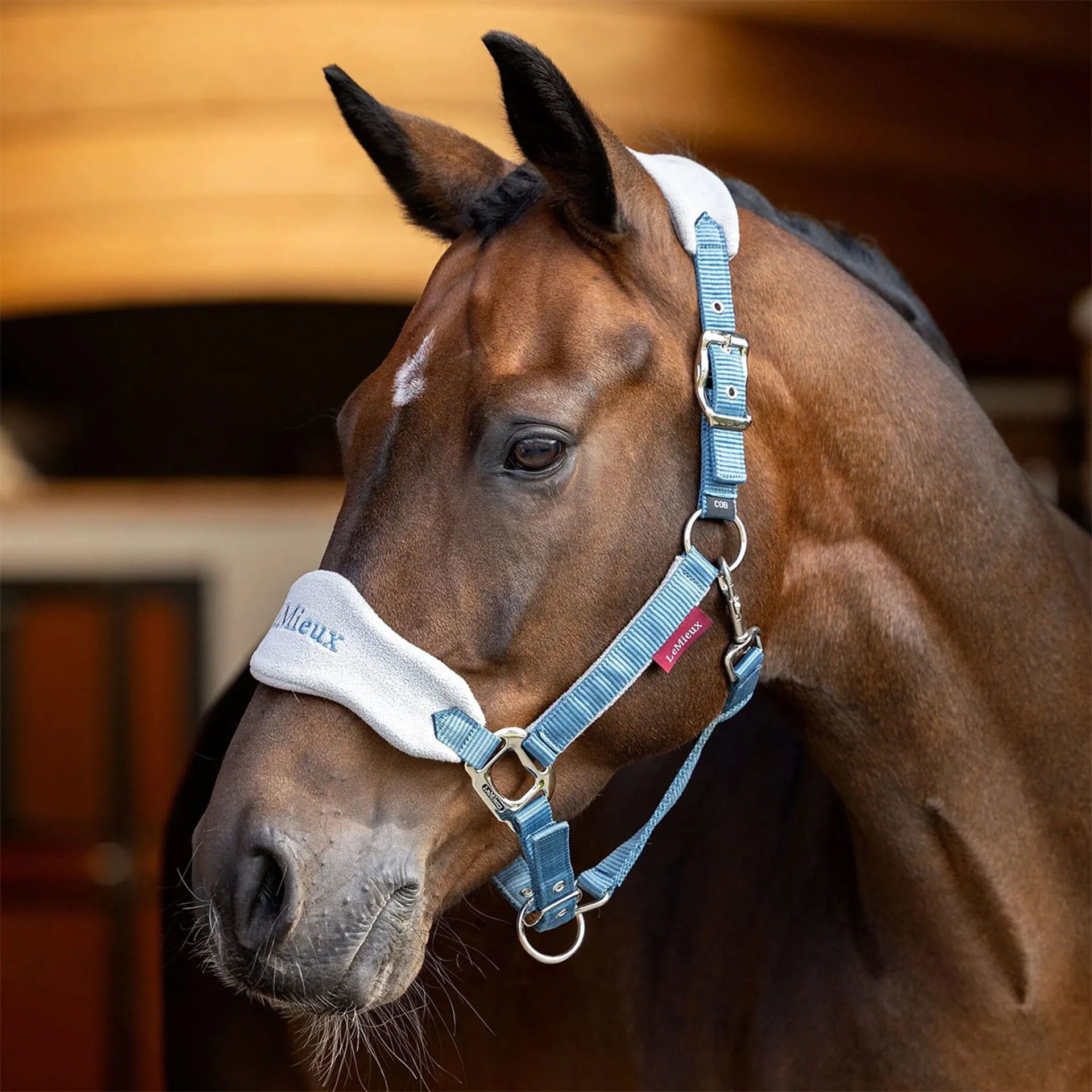 LeMieux Vogue Headcollar and Lead Rope Set - Ice Blue