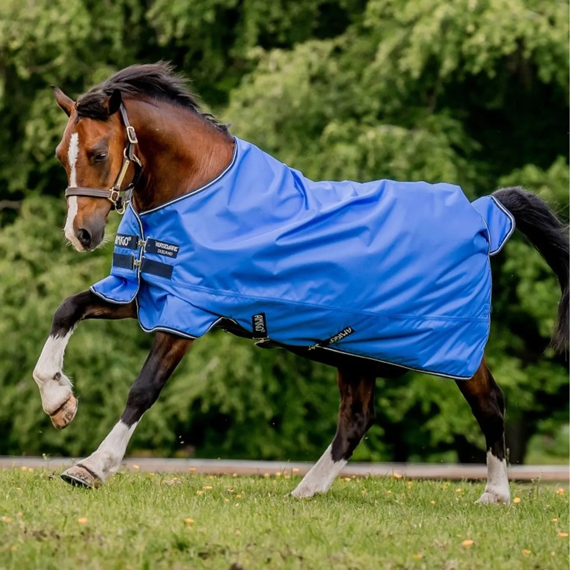 Amigo Hero 600D with Ripstop 0g Turnout Rug - Blue/Navy/Grey