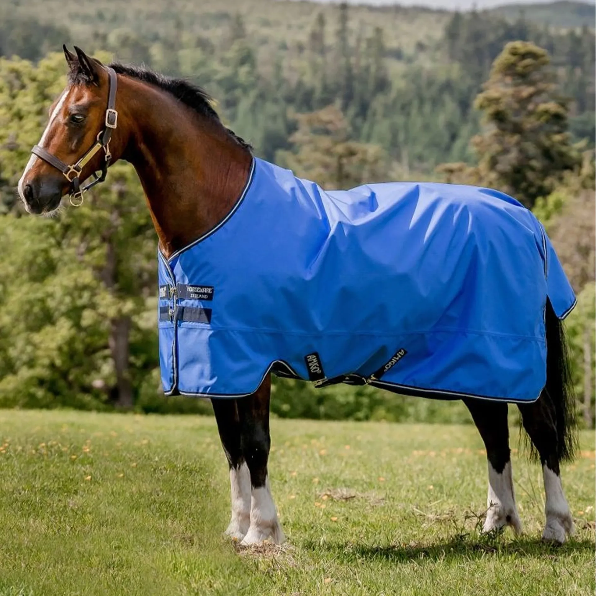Amigo Hero 600D with Ripstop 0g Turnout Rug - Blue/Navy/Grey