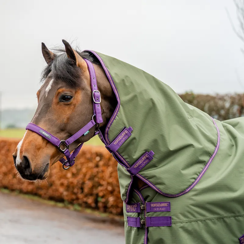 Amigo Hero 600D with Ripstop 0g Turnout Hood Bramble/Winterberry