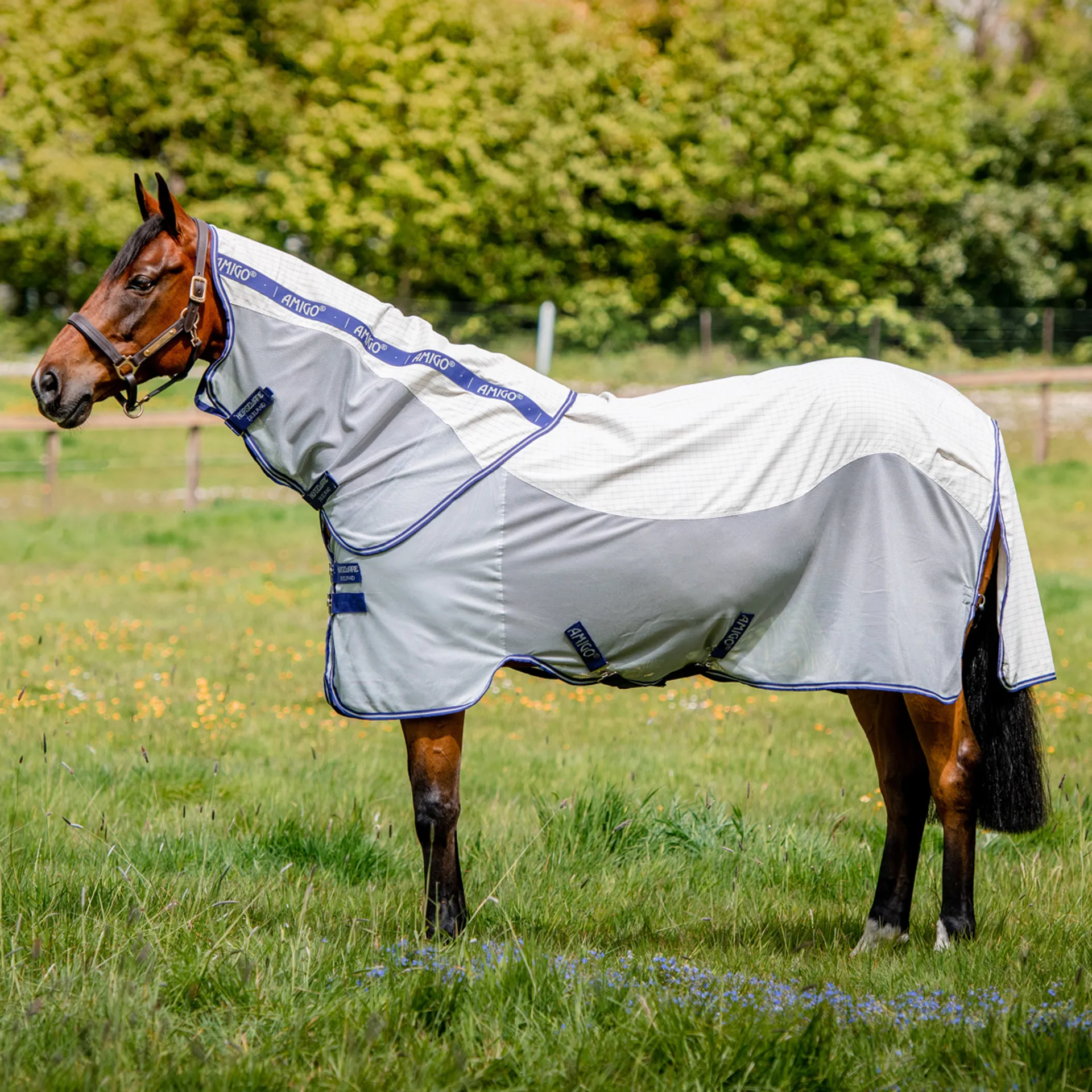 Amigo Airflow Fly Rug - Navy Check/Atlantic Blue