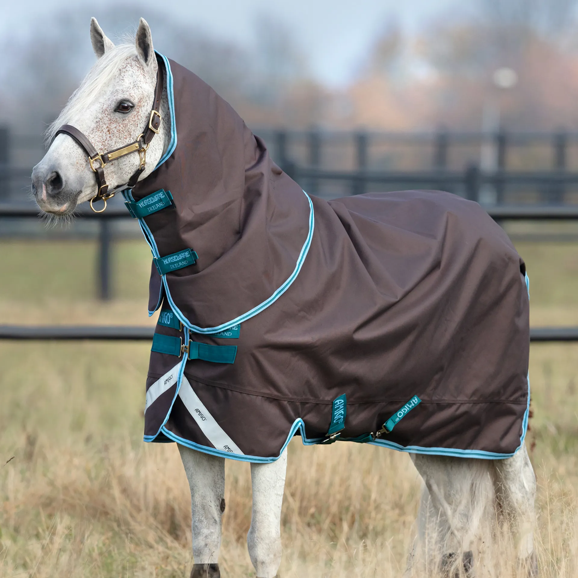 Amigo Pony Bravo 12 Plus 0g Lite Turnout Rug - Excalibur/Aqua