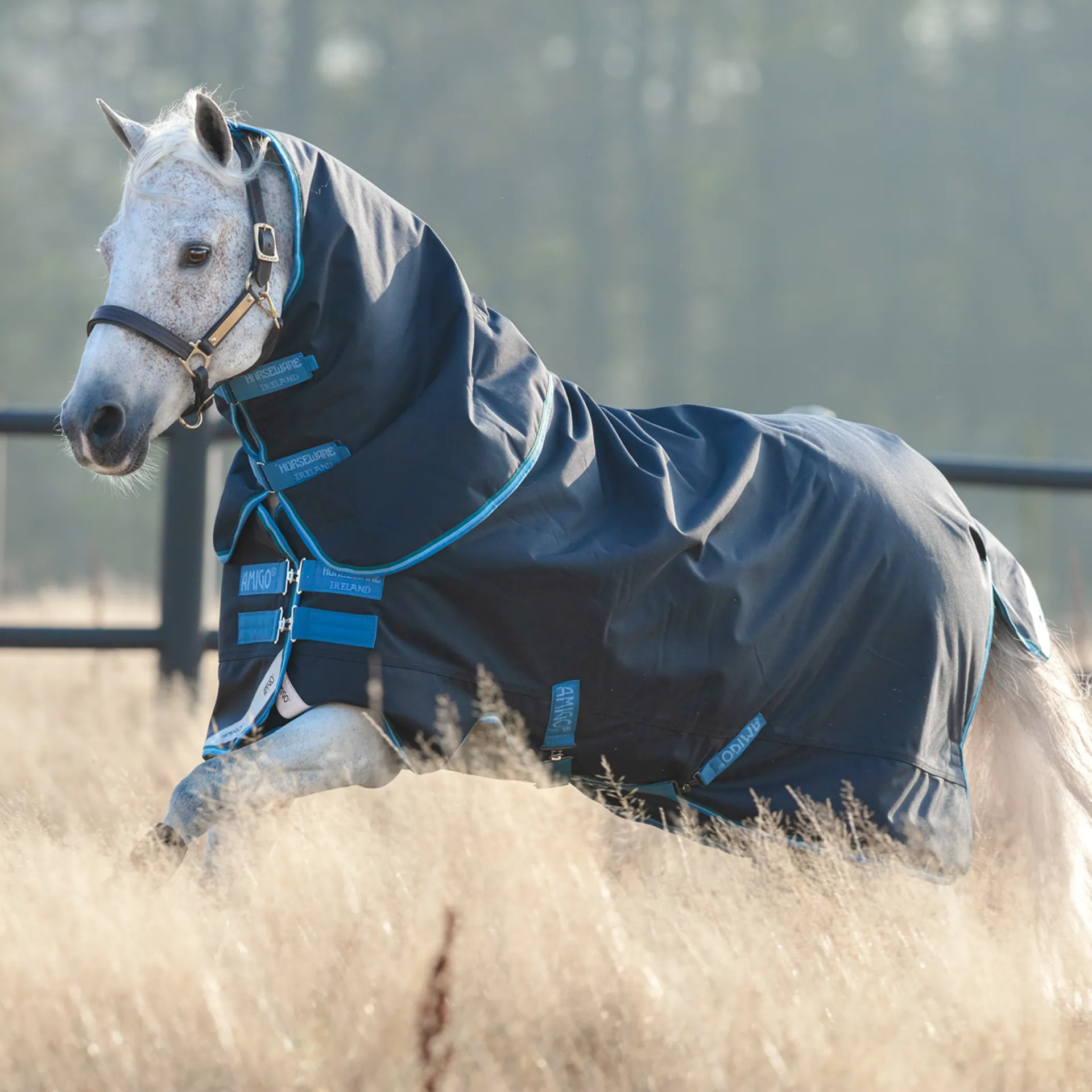 Amigo Pony Bravo 12 Plus 250g Turnout Rug - Navy/Turquoise/Aqua