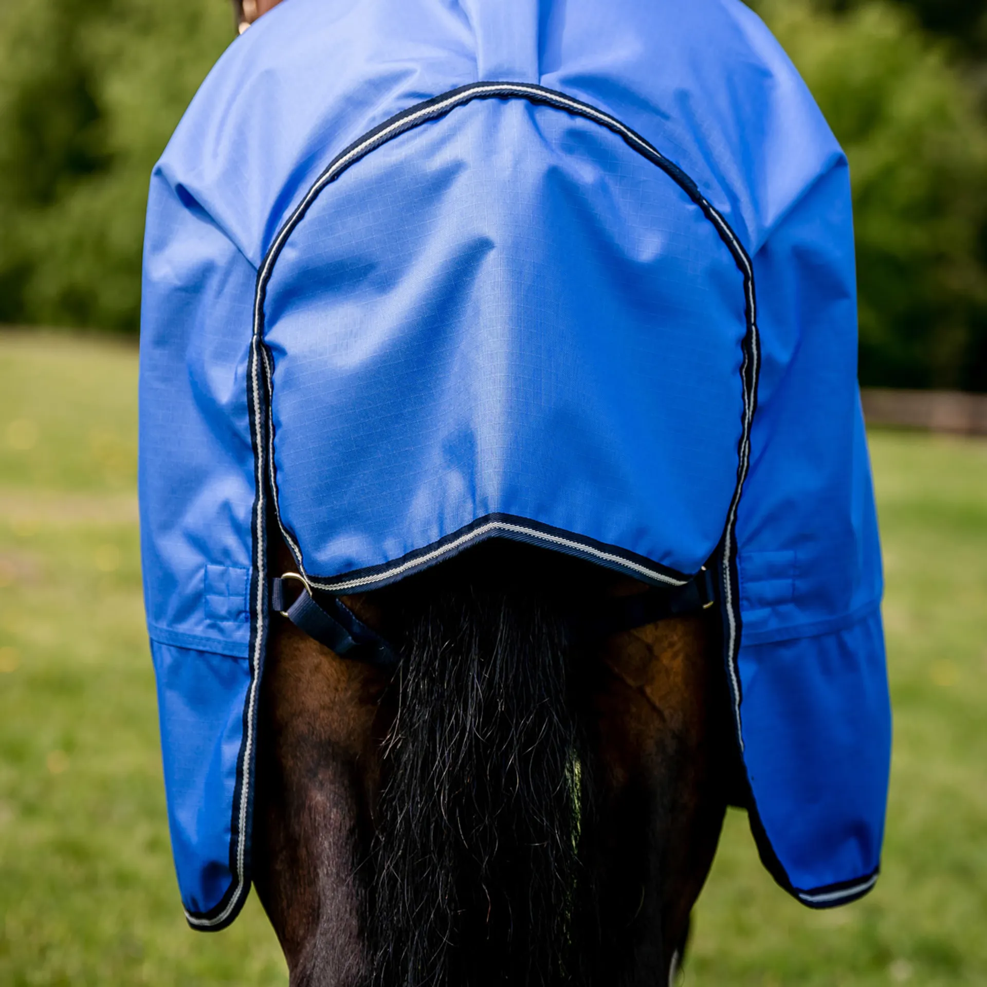 Amigo Hero 600D with Ripstop Plus 100g Turnout Rug - Blue/Navy