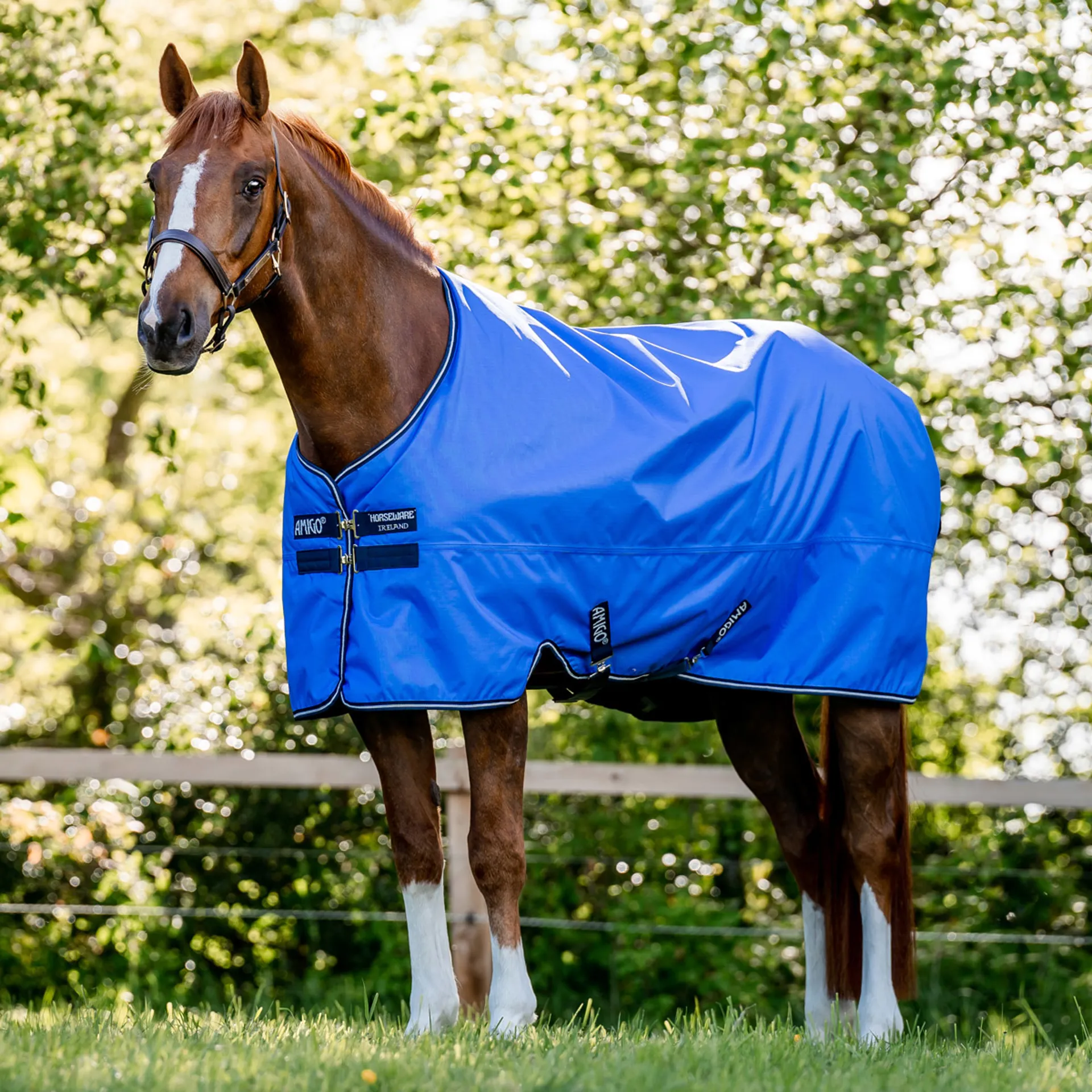 Amigo Hero 600D with Ripstop 50g Turnout Rug - Blue/Navy/Grey