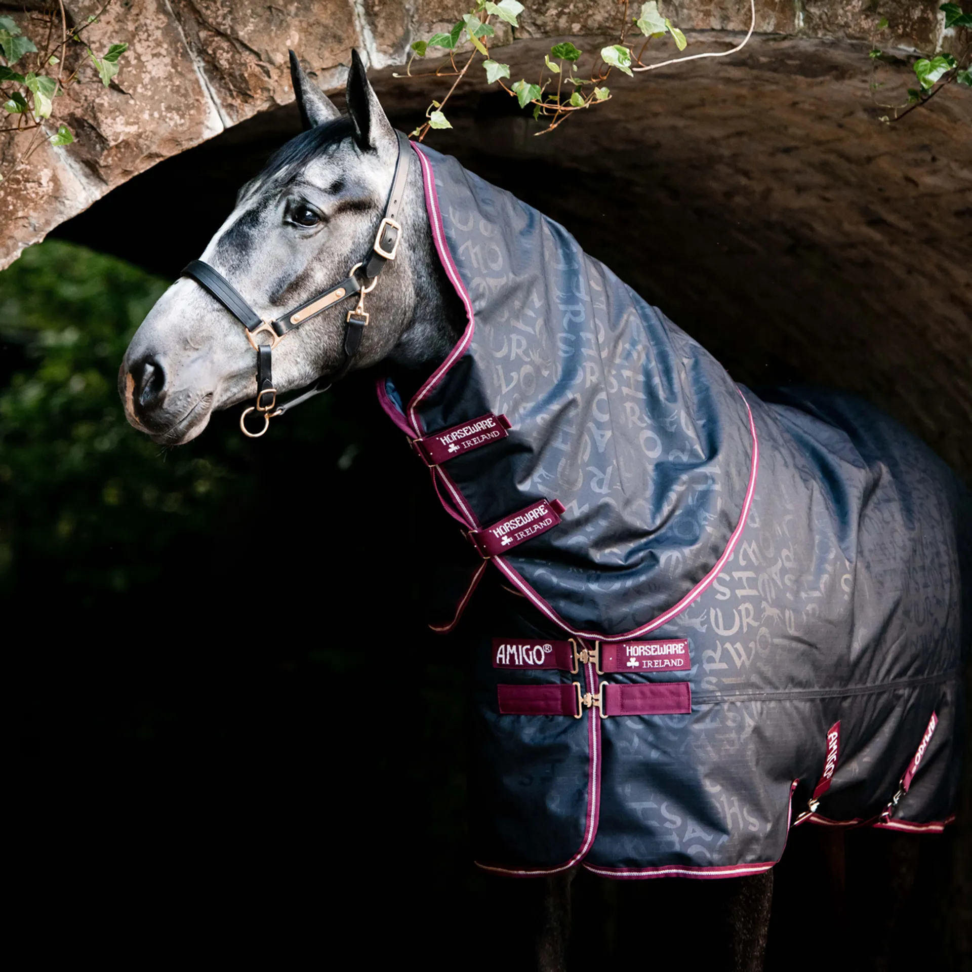 Amigo Hero 600D with Ripstop Plus 0g Turnout Rug - Navy HW Print