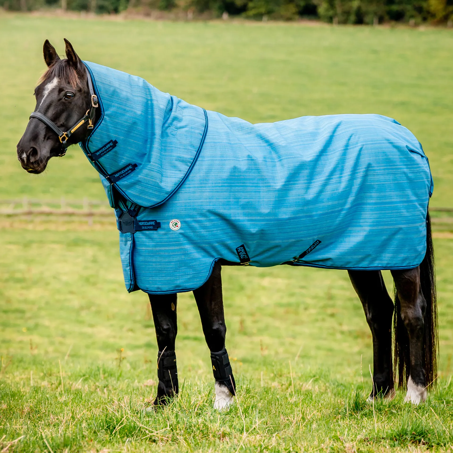 Amigo Hero 900 Revive Plus 50g Turnout Rug - Ocean Blue