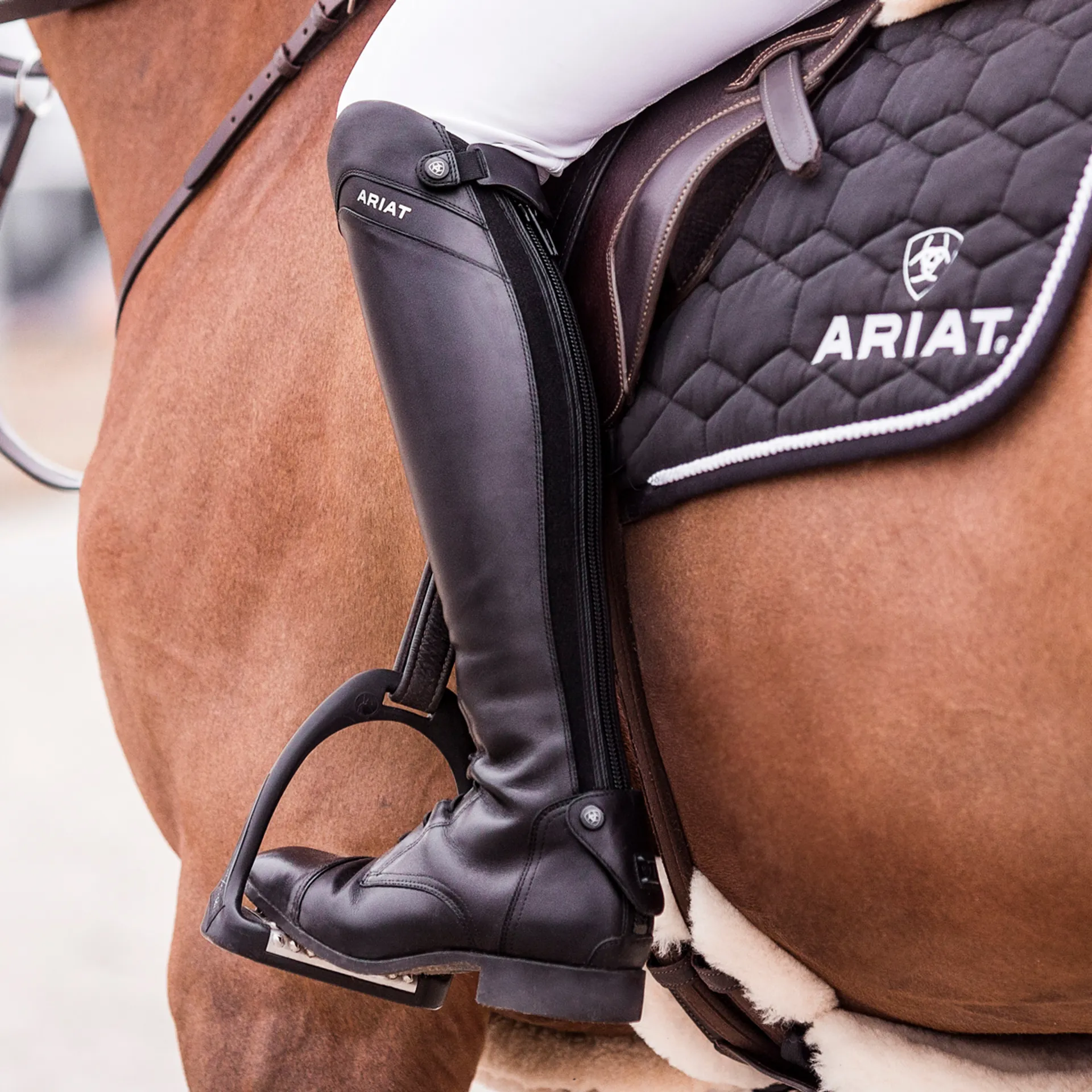 Ariat Palisade Tall Ladies Riding Boots - Black