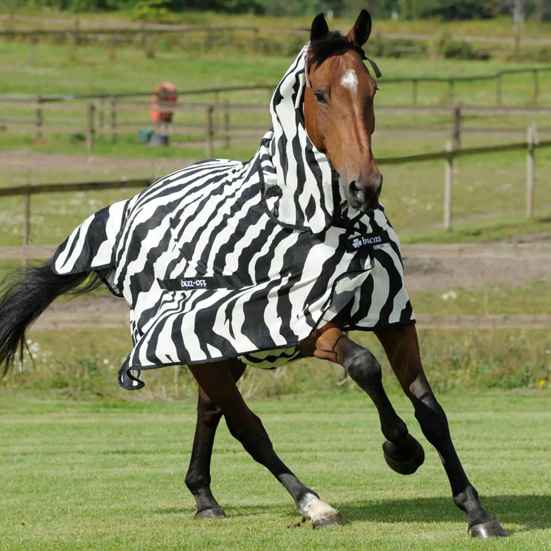 Bucas Buzz-Off Full Neck Fly Rug - Zebra Print