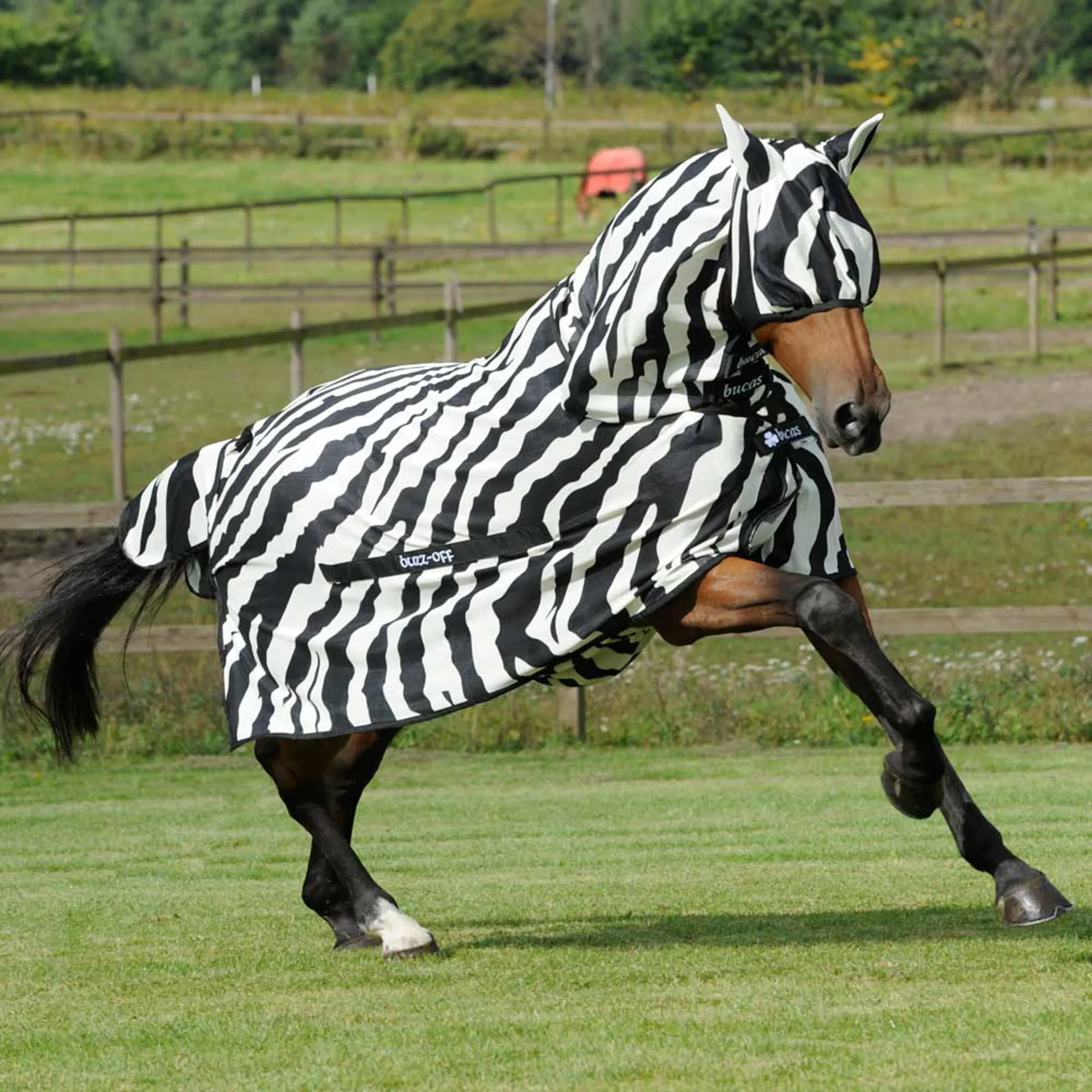 Bucas Buzz-Off Full Neck Fly Rug - Zebra Print
