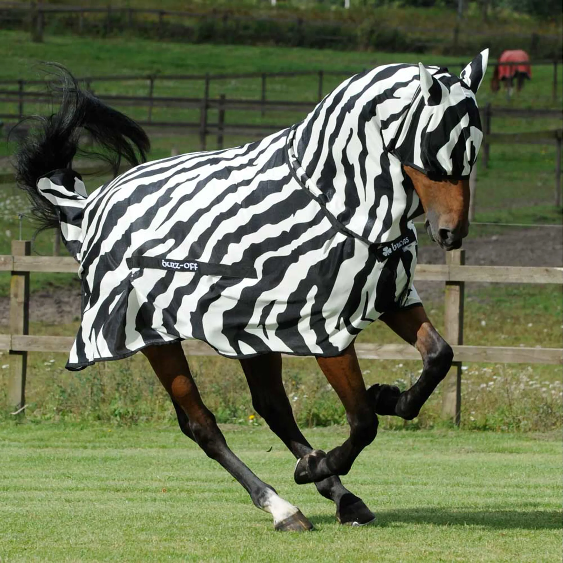 Bucas Buzz-Off Full Neck Fly Rug - Zebra Print