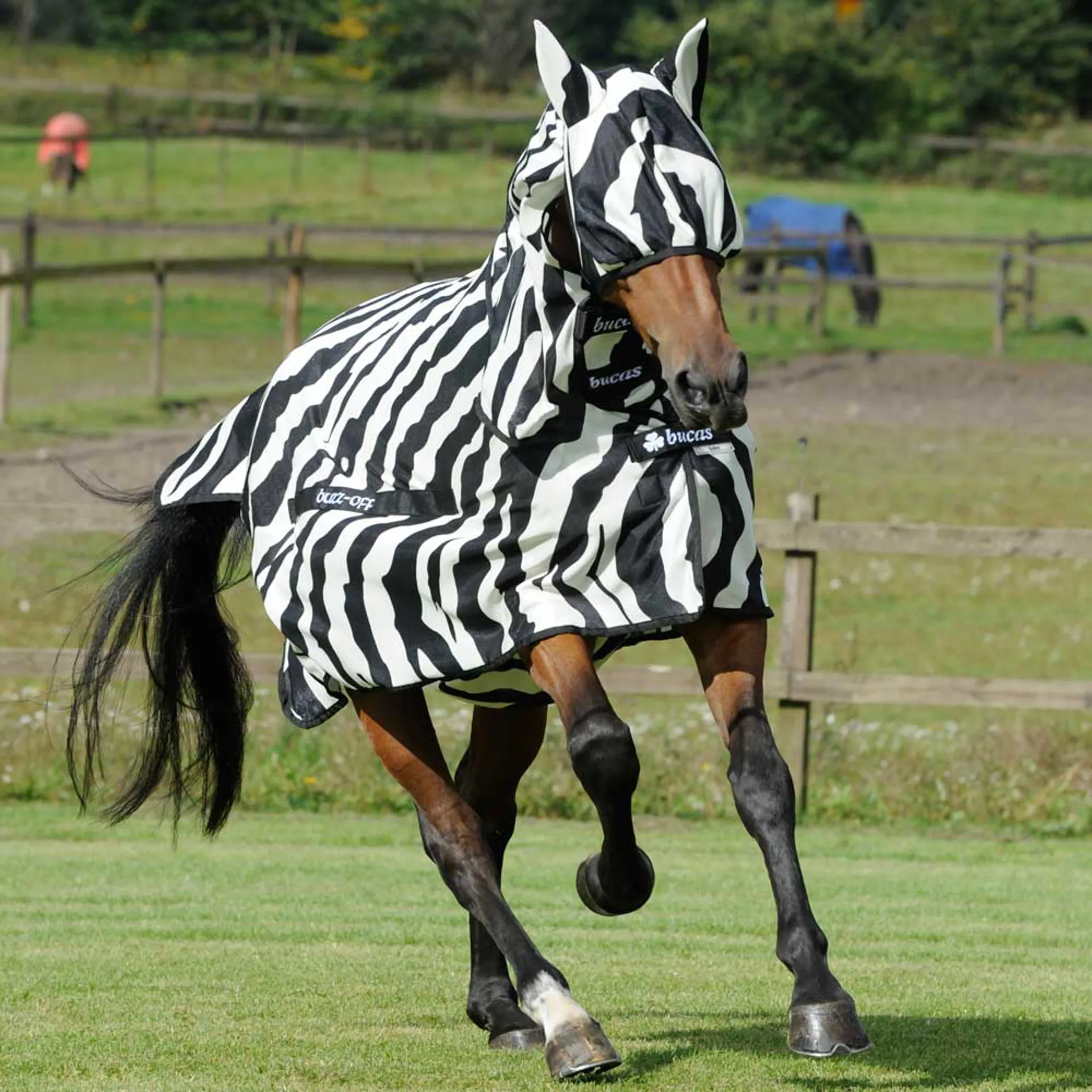 Bucas Buzz-Off Full Neck Fly Rug - Zebra Print