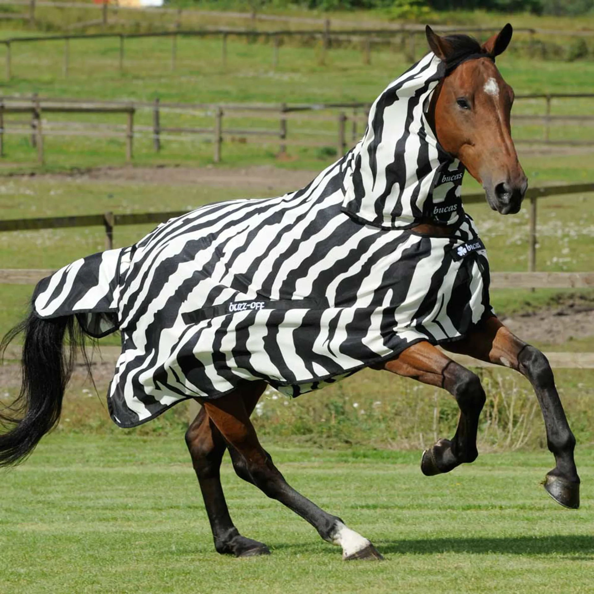 Bucas Buzz-Off Full Neck Fly Rug - Zebra Print