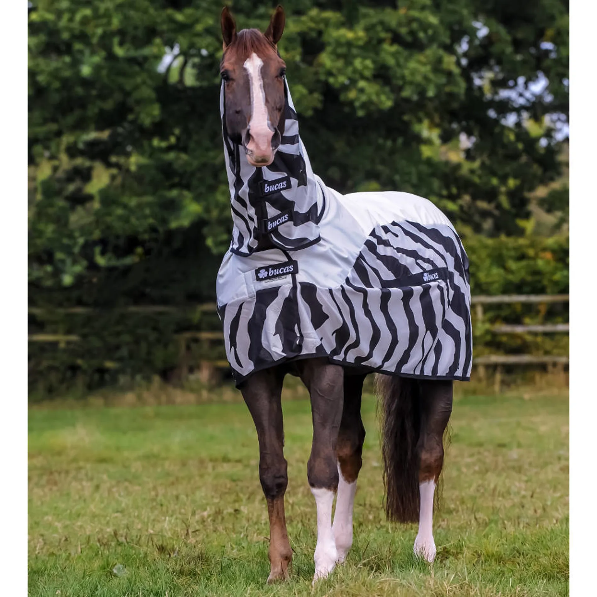 Bucas Buzz-Off Combo Fly/Rain Sheet Hybrid Rug - Zebra Print