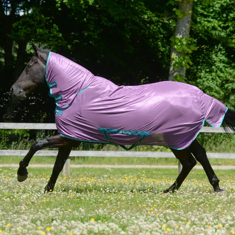 Fly & Sweet Itch Rugs | Horse Rugs - Redpost Equestrian