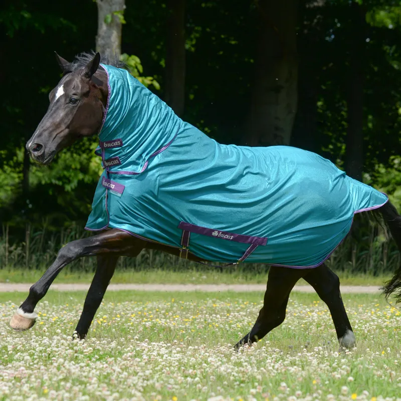 Fly & Sweet Itch Rugs | Horse Rugs - Redpost Equestrian
