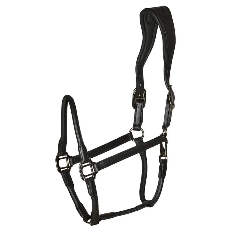 Catago Leather Headcollar - Black