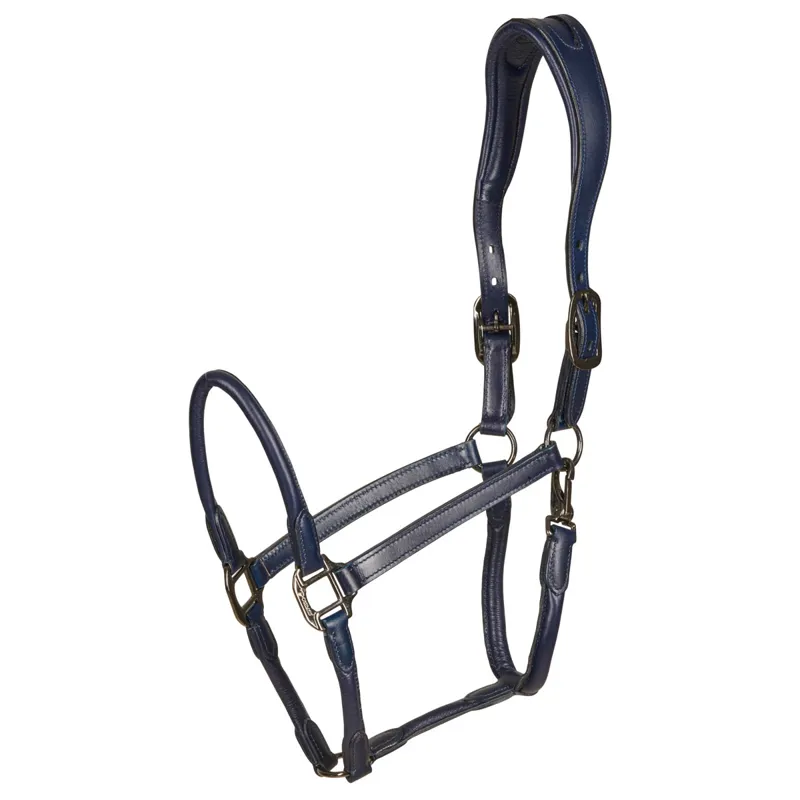 Catago Leather Headcollar - Navy