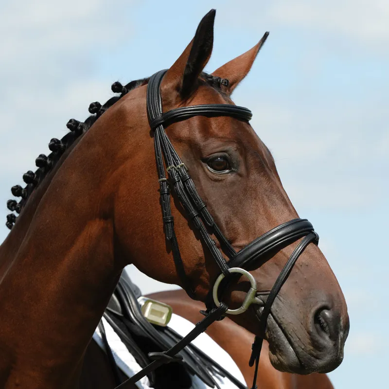 Collegiate Syntovia+ Padded Raised Flash Bridle - Black