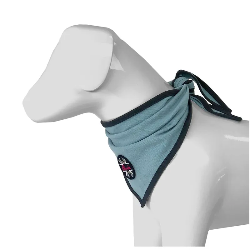 Pets | Redpost Equestrian