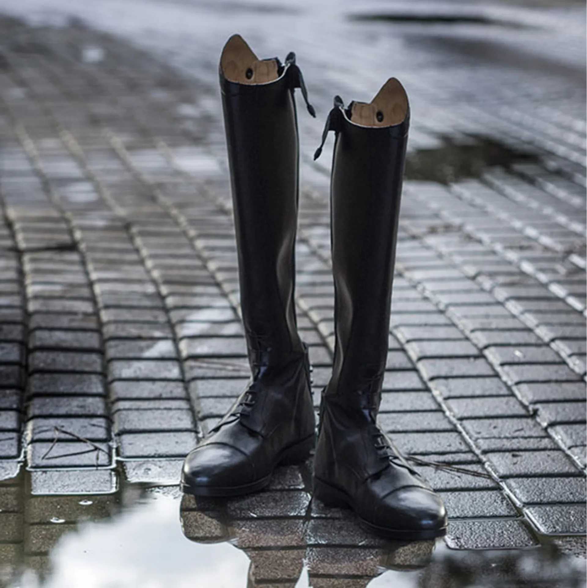 EGO7 Orion Laced Tall Riding Boots - Medium Calf - Black