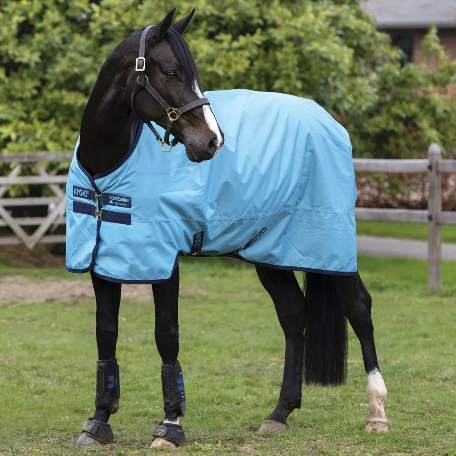 Amigo Hero 600D with Ripstop 0g Turnout Rug Delphinium Blue/Navy