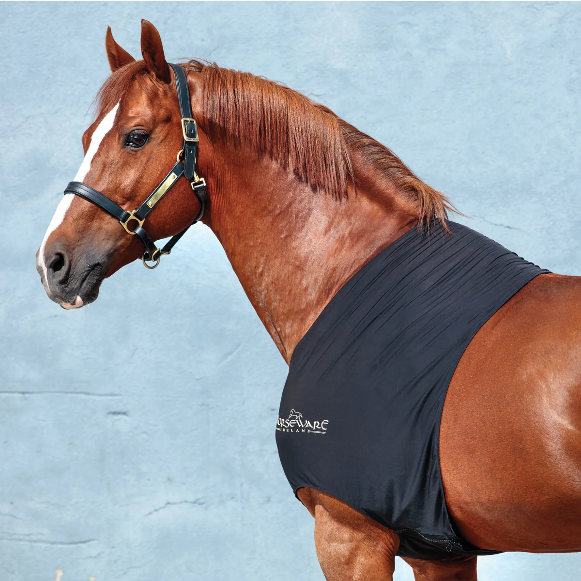 Horseware Slinky Lycra Shoulder Guard - Black