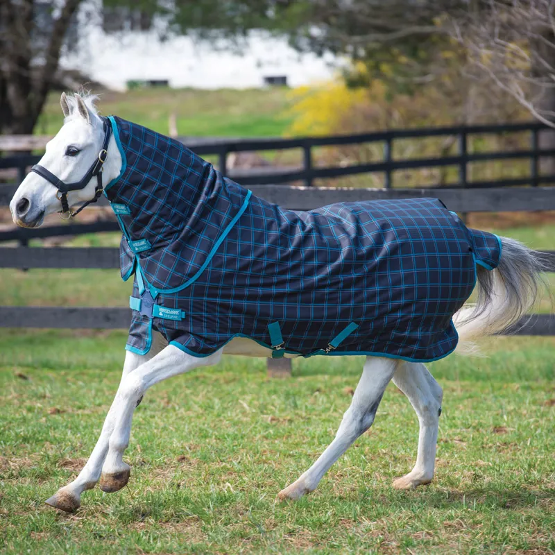 Amigo Pony Plus 50g Turnout Rug - Black Check/Teal/Silver
