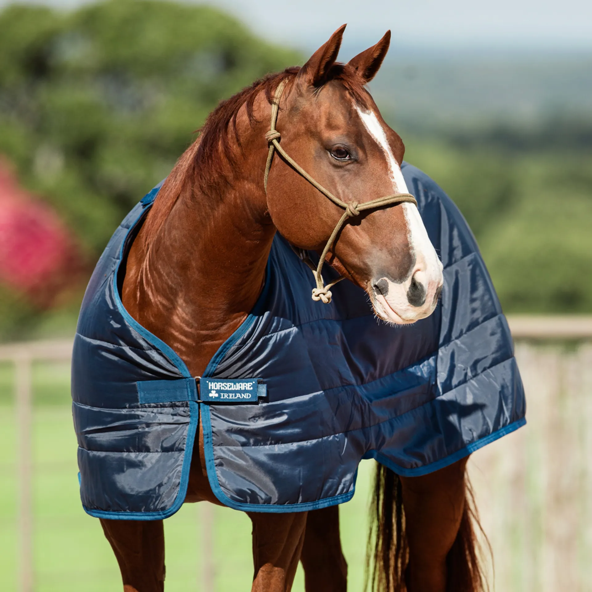 Horseware 100g Light Rug Liner - Navy