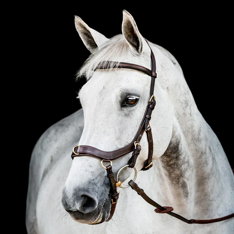 Horseware Micklem 2 Multi Bridle - Dark Havana