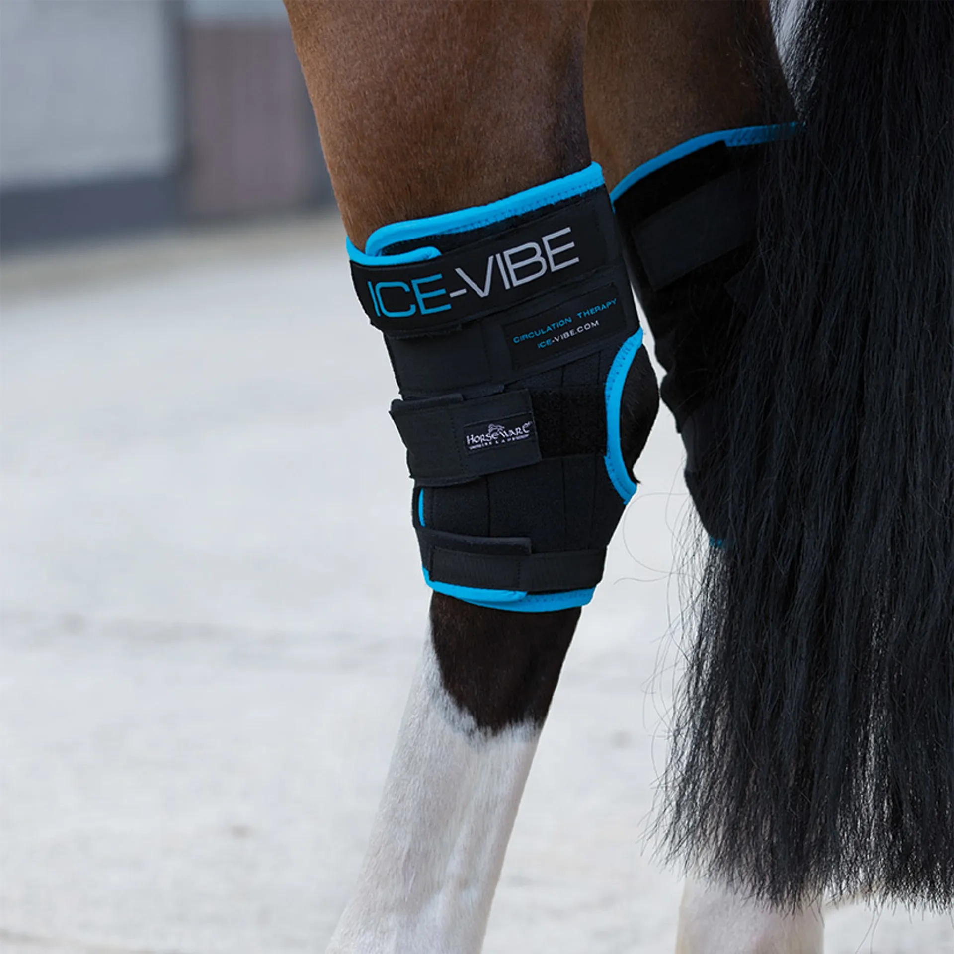 Horseware Ice-Vibe Hock Wraps