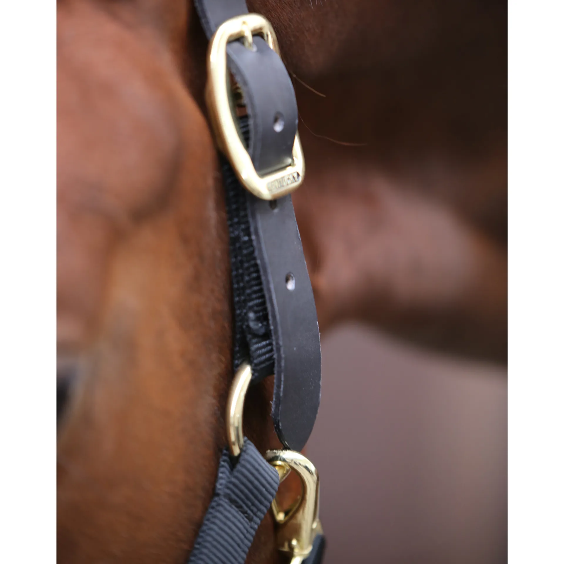 Kentucky Control Headcollar - Black