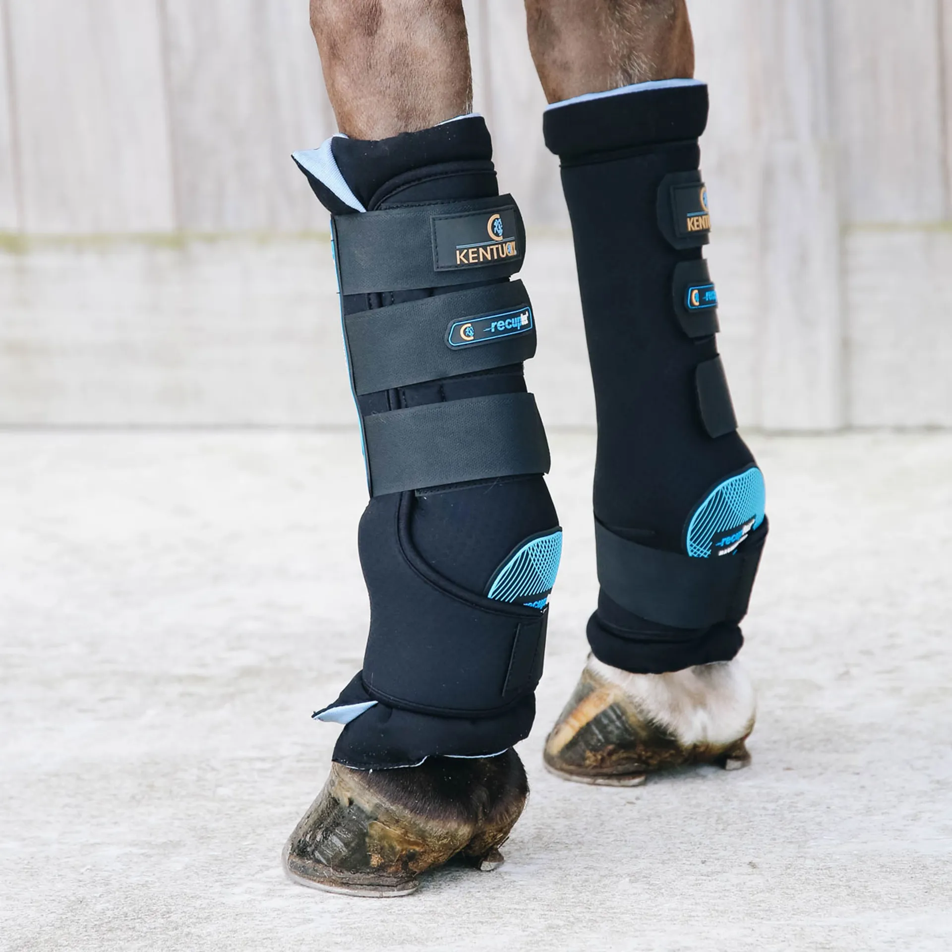 Kentucky Magnetic Recuptex Stable Boots