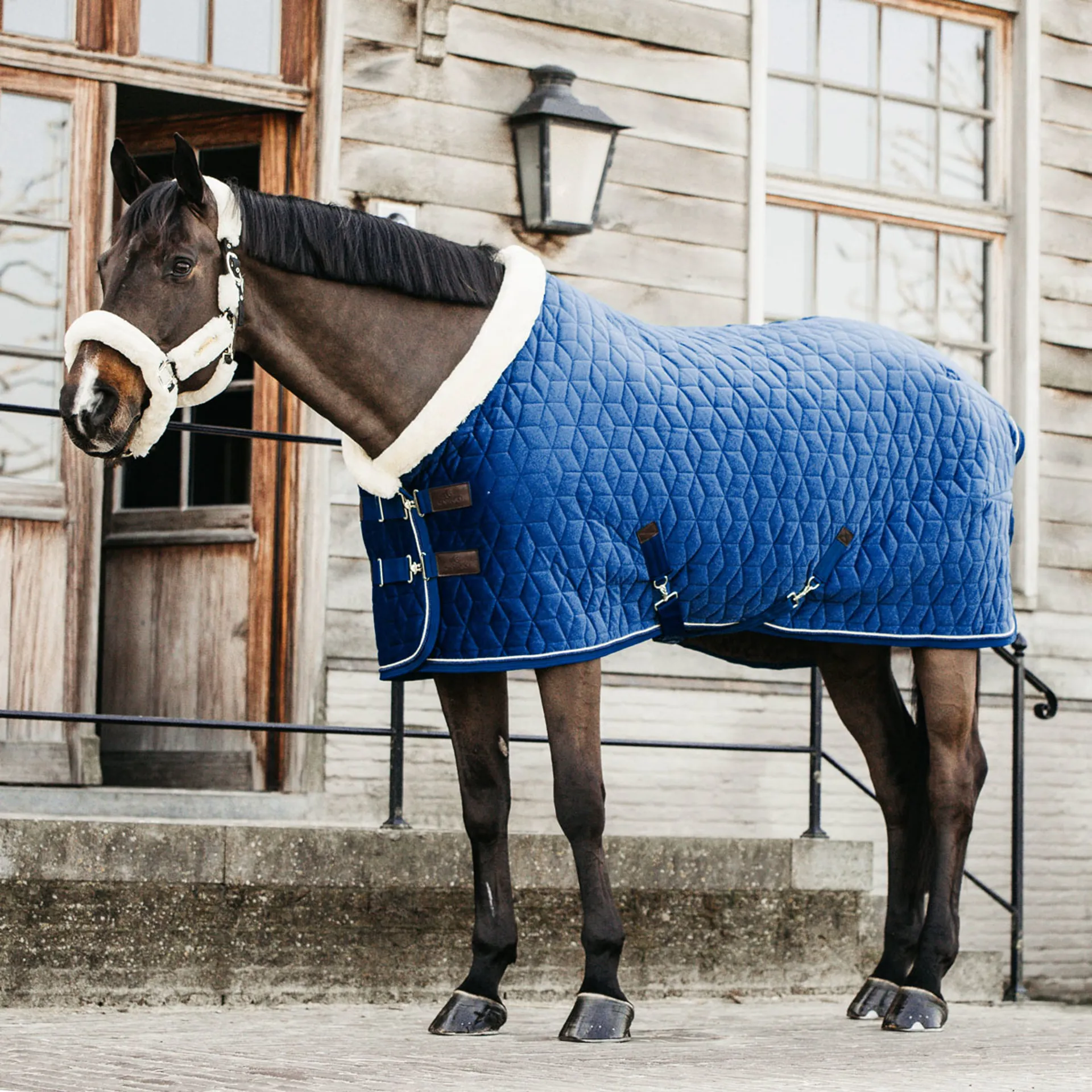 Kentucky Velvet Show Rug - Navy