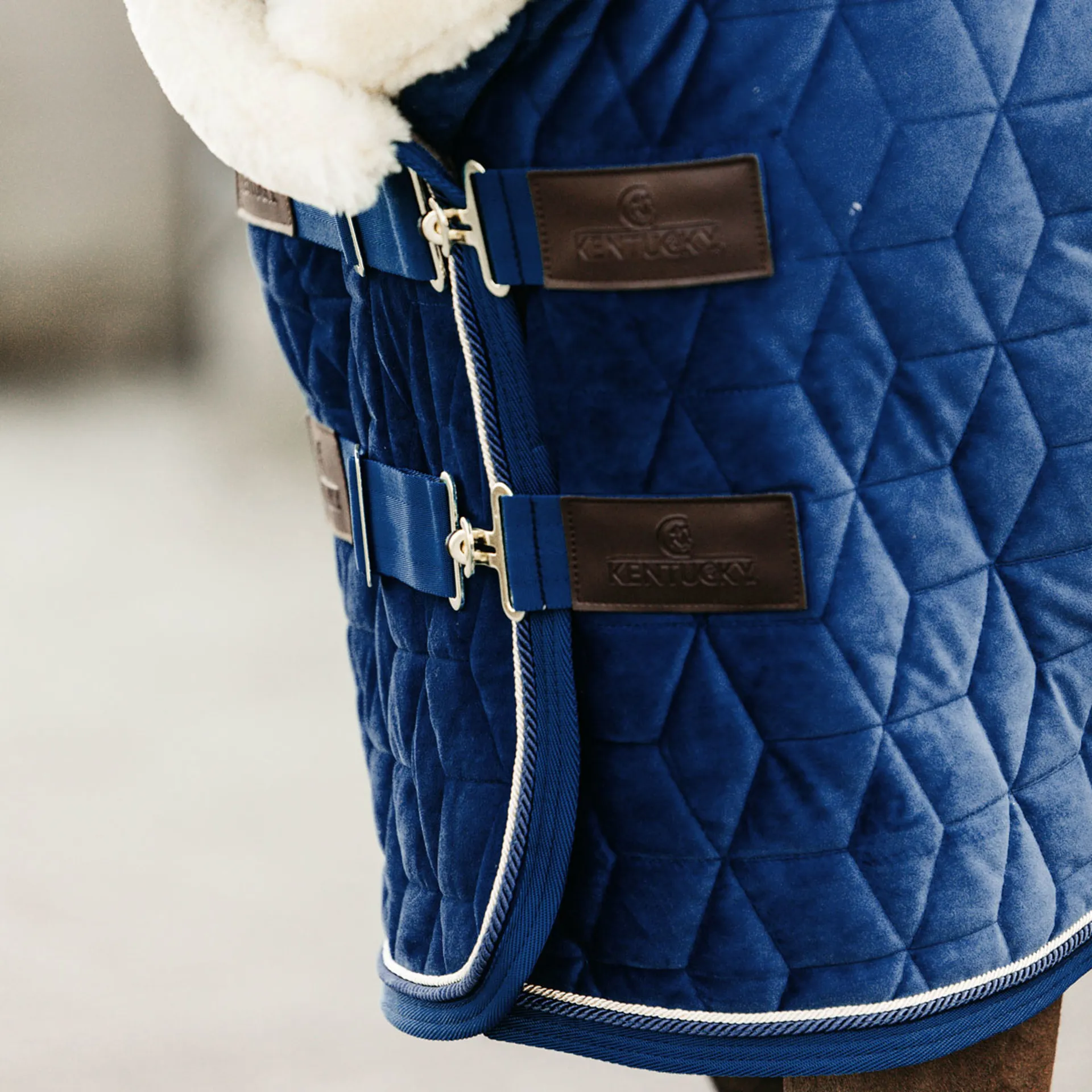 Kentucky Velvet Show Rug - Navy