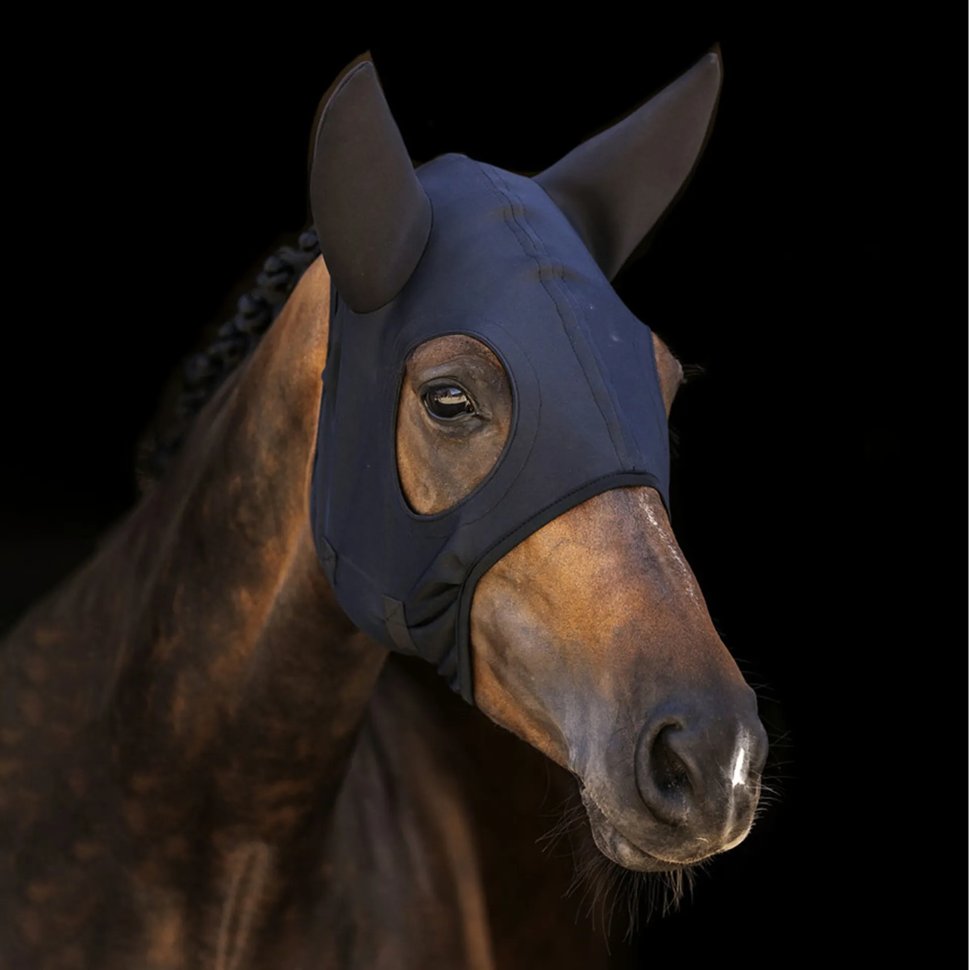 Lami-Cell Titanium Mask - Black