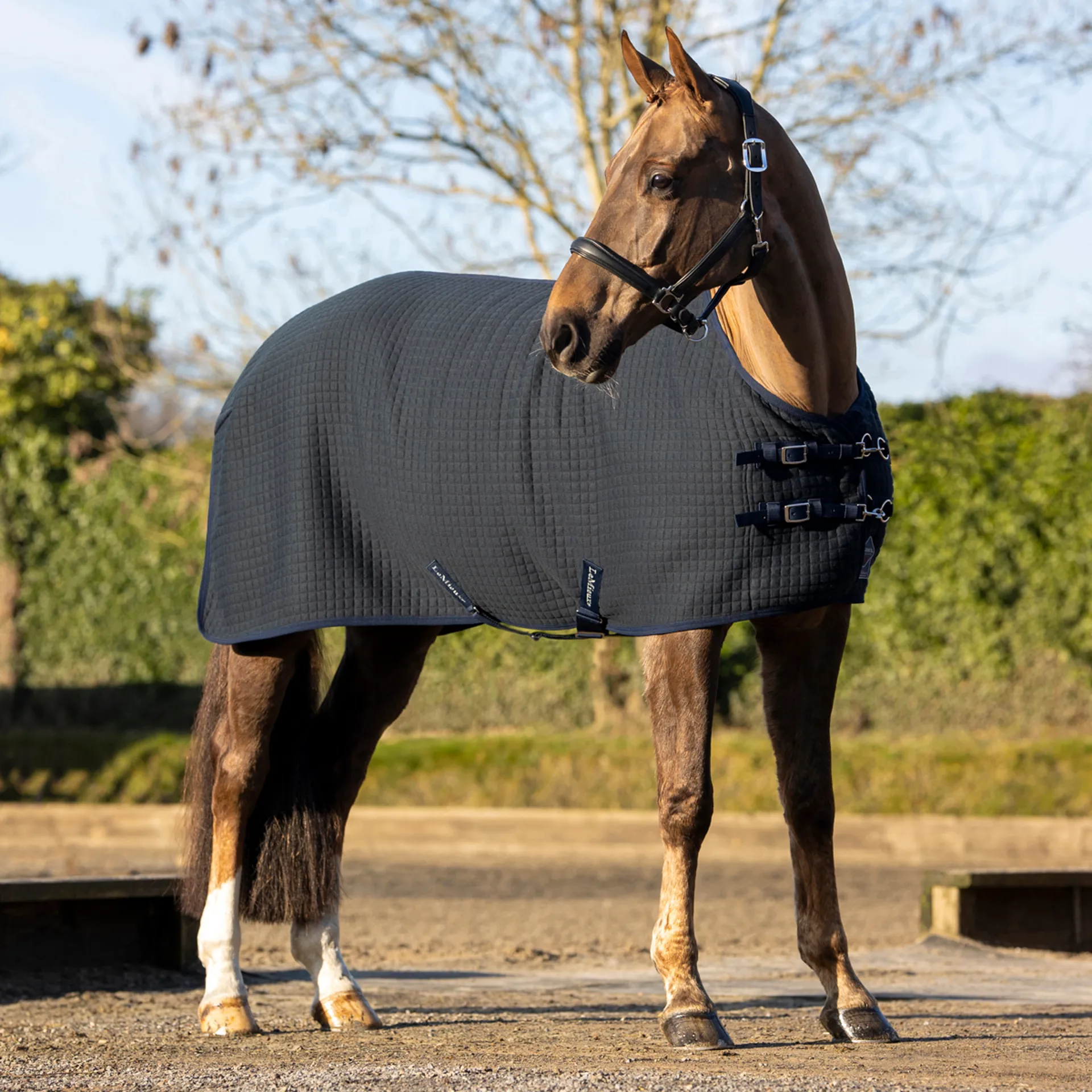 LeMieux Arika Clima-Tek Rug - Navy
