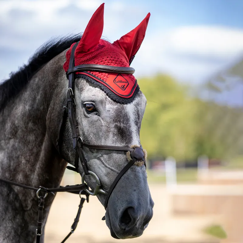 LeMieux Classic Fly Hood - Chilli/Black